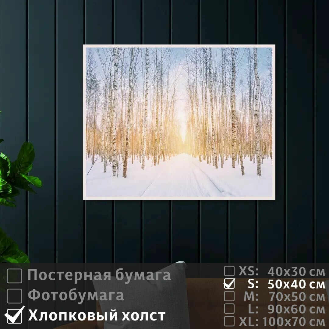 Постер на холсте Лучи Солнца В Зимнем Лесу 50х40 см ПолиЦентр