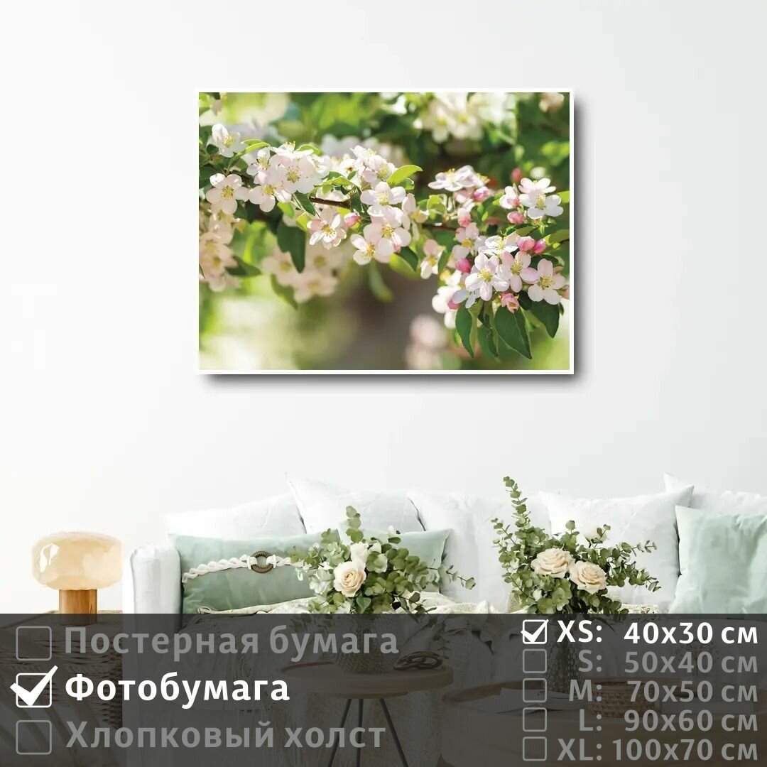 Постер на фотобумаге Весенняя Ветка Яблони 40х30 см ПолиЦентр