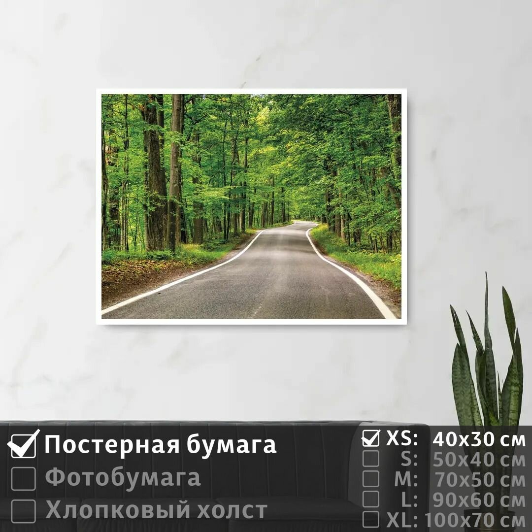 Постер на стену Дорога Уходящая Вдаль В Летнем Лесу 40х30 см ПолиЦентр