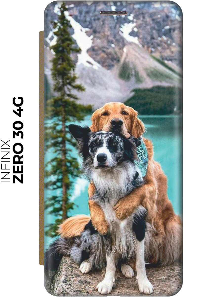 Чехол-книжка на Infinix Zero 30 4G / Инфиникс Зеро 4г с рисунком "Собачья дружба" золотой
