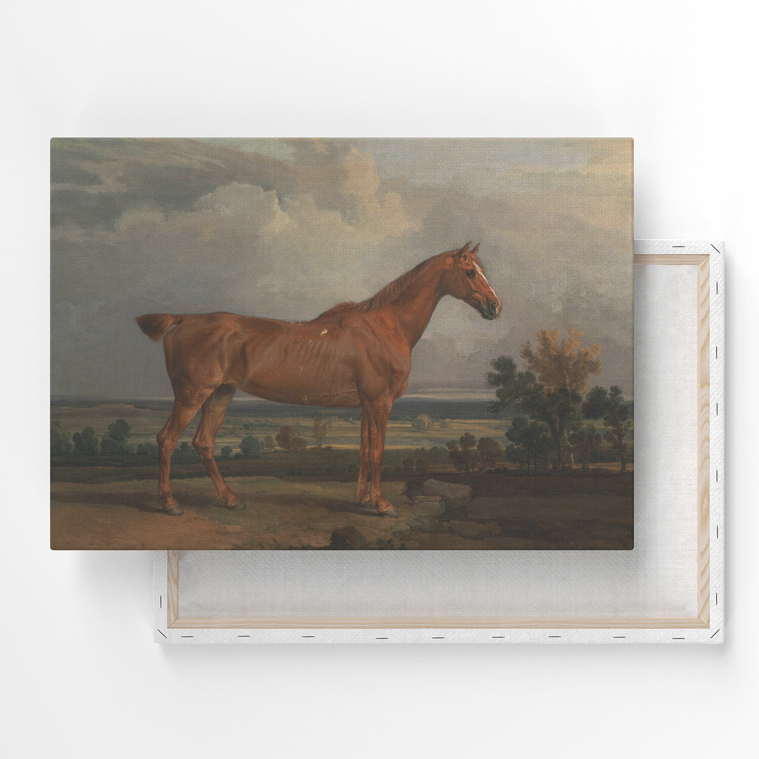 Картина на холсте, репродукция / Джеймс Уорд - Hunter in a landscape / Размер 30 x 40 см