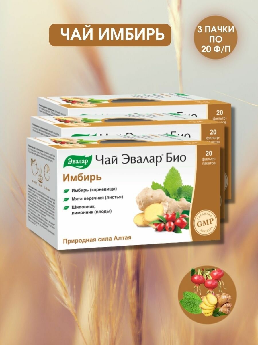 Чай имбирь 20 фильтр-пакетов по 1,5г Эвалар Био
