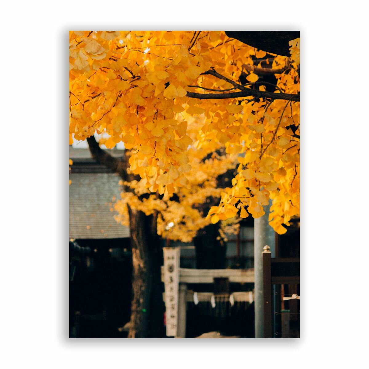 Постер, плакат на бумаге / Япония / Размер 30 x 40 см