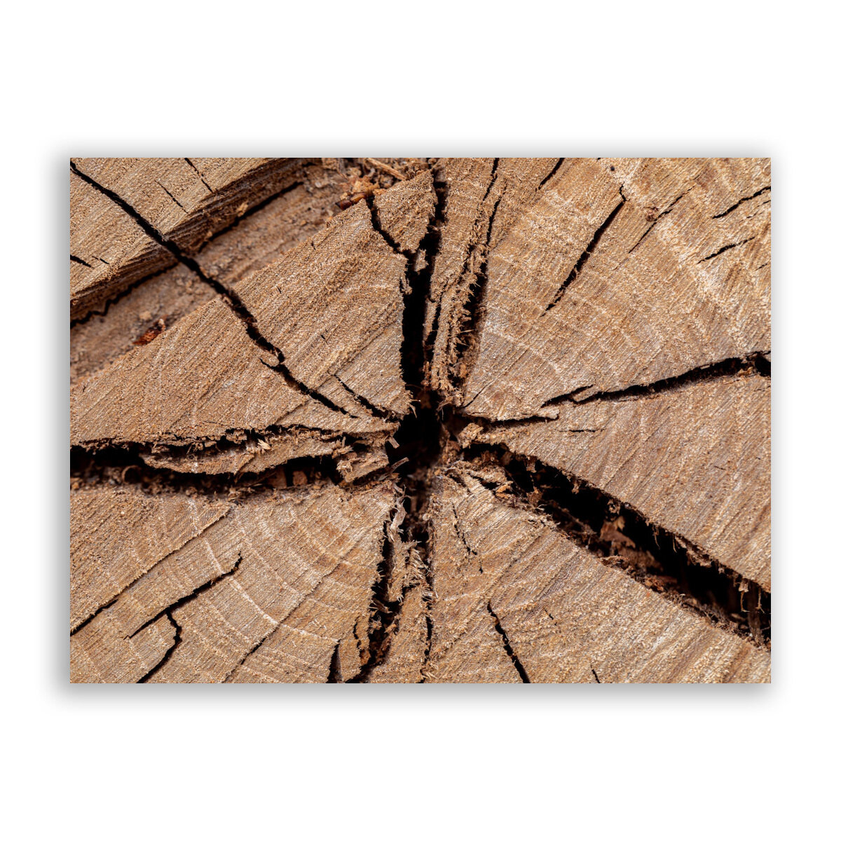 Постер, плакат на бумаге / Древесина / Размер 30 x 40 см