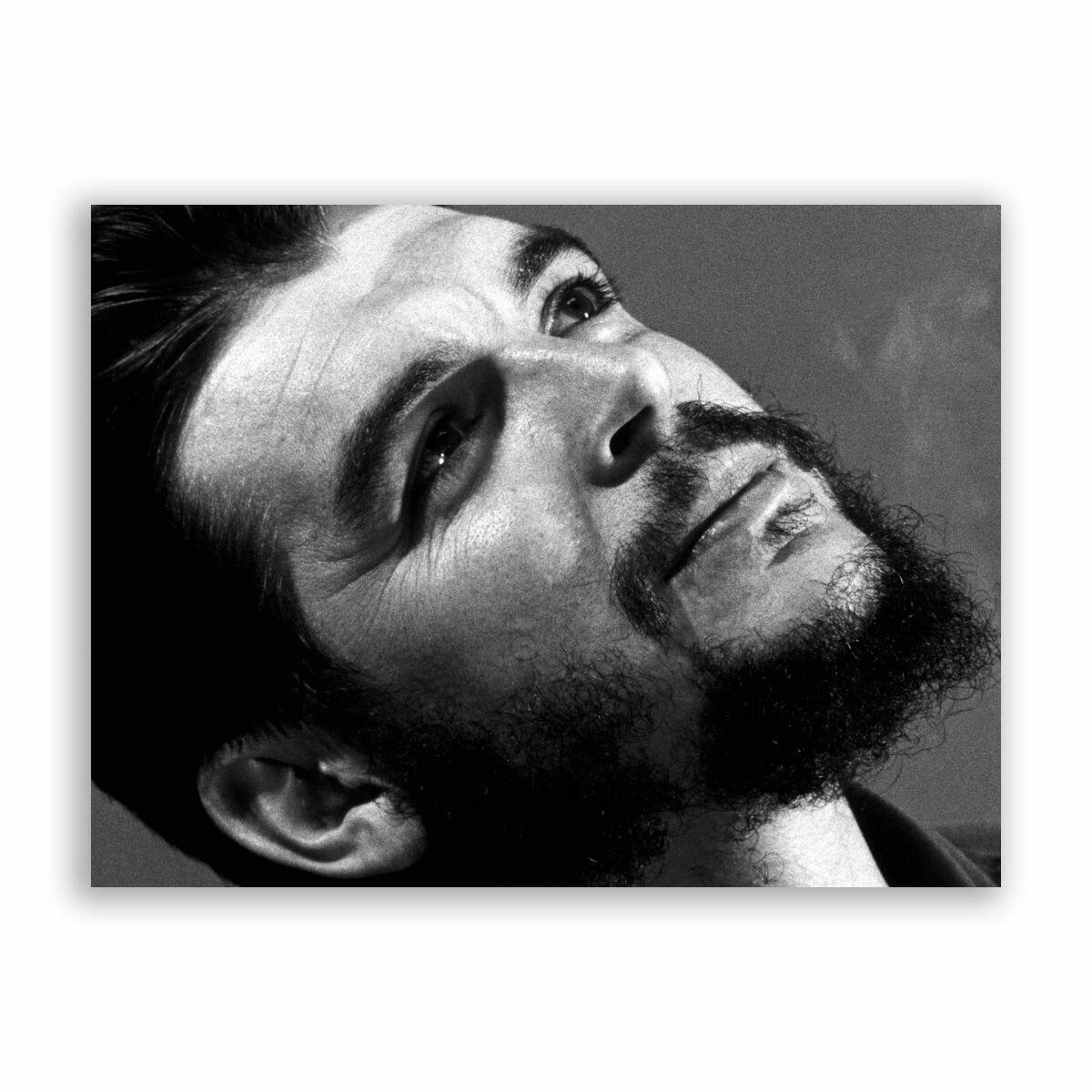 Постер, плакат на бумаге / Че Гевара / Размер 30 x 40 см
