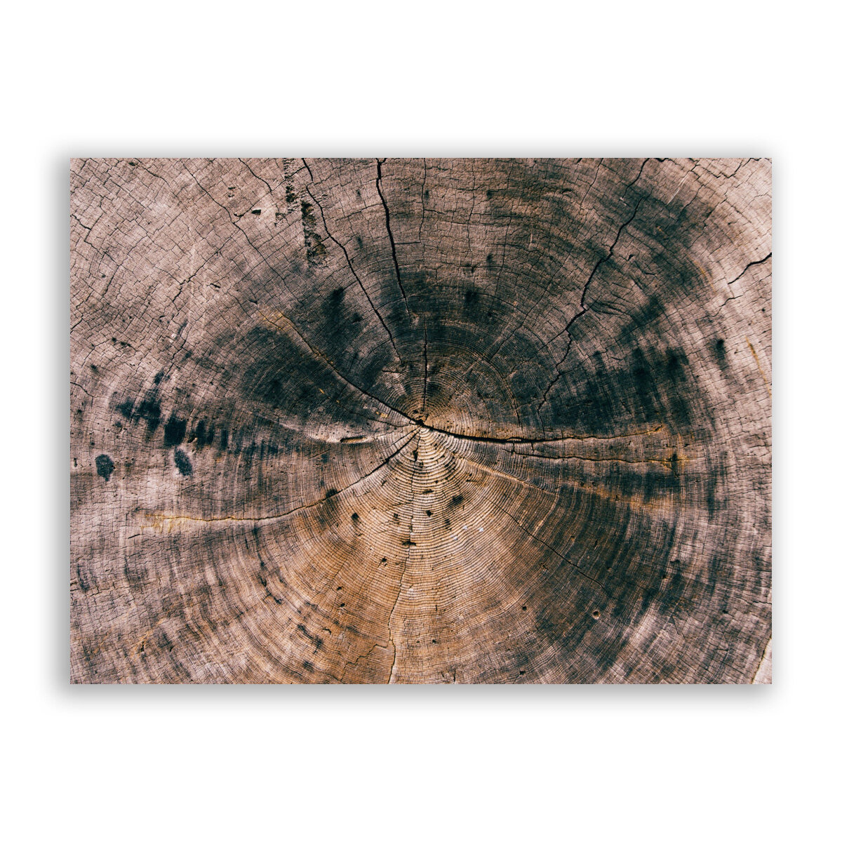 Постер, плакат на бумаге / Древесина / Размер 30 x 40 см