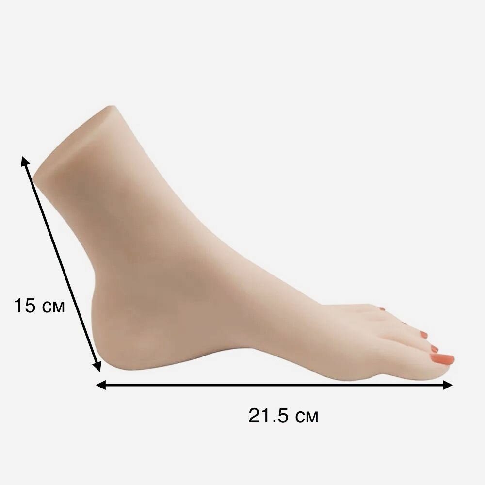 Мастурбатор