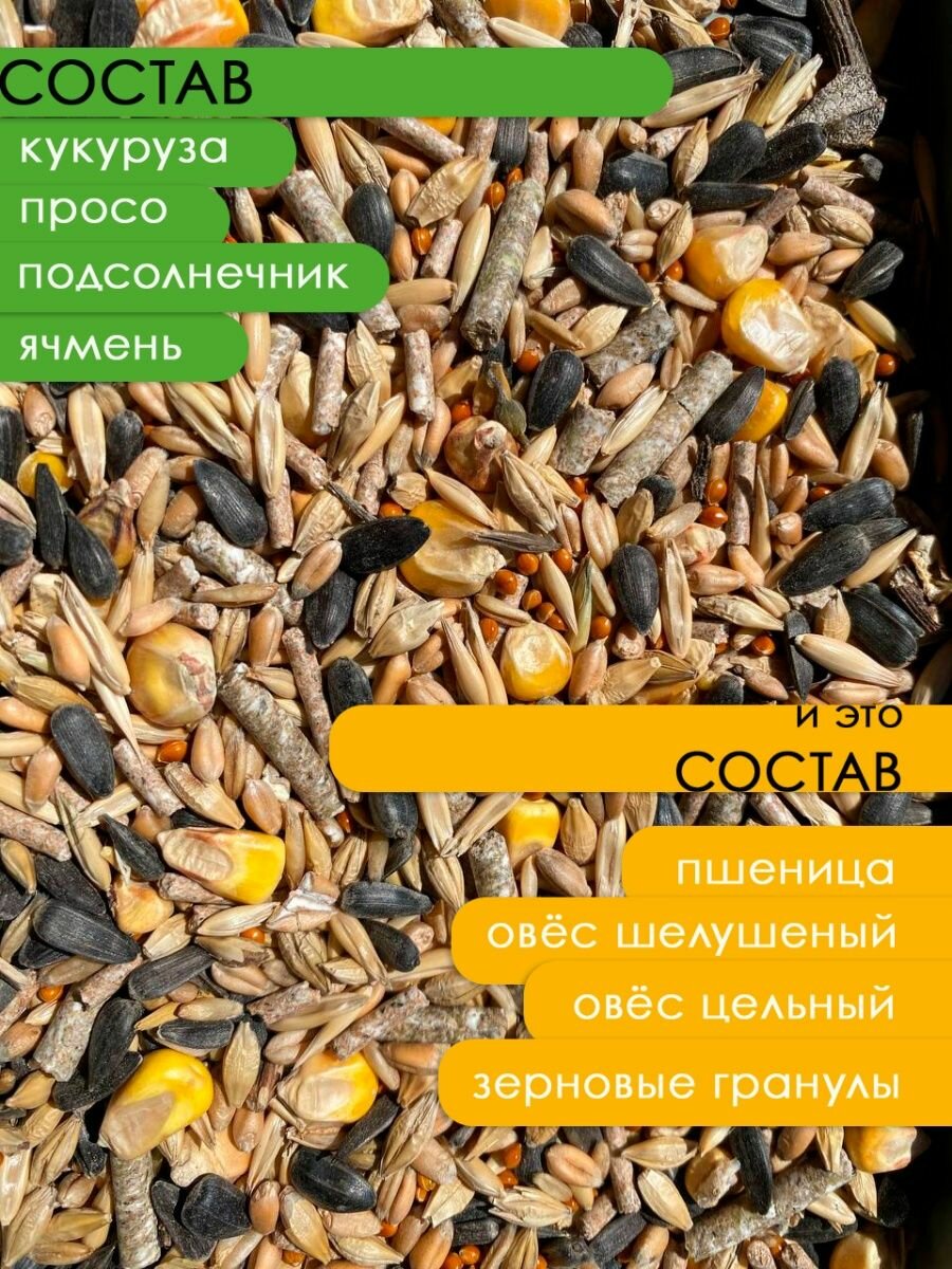 Корм для крыс и мышей — фото 1