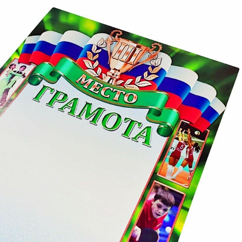 Грамота "Спортивная", ламинированный картон, длина 30см, высота 1см, цвет зеленый/голубой