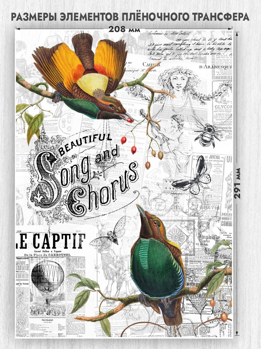 Трансфер для декупажа переводной рисунок для поверхностей винтажный 015 (А4)