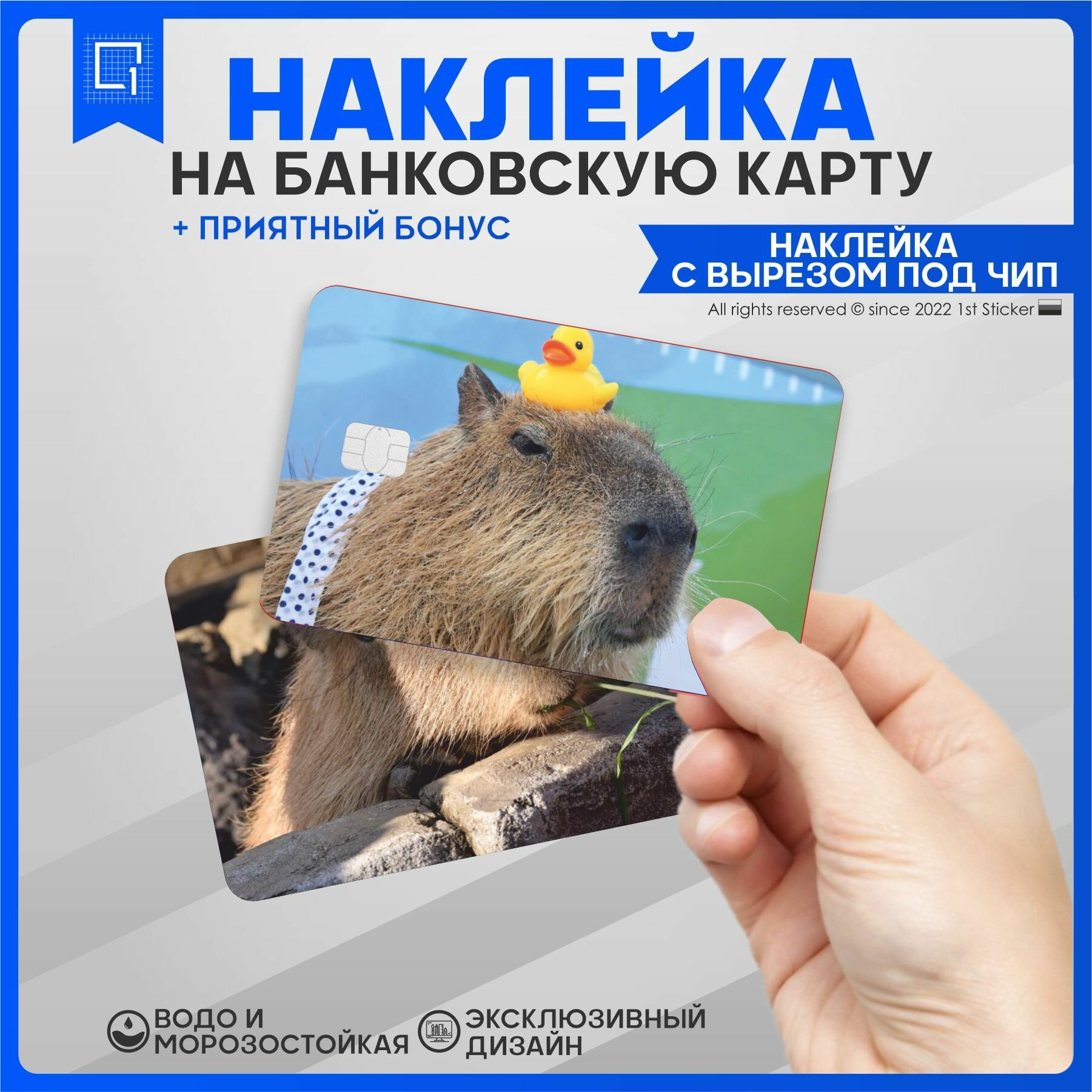 Наклейка на банковскую карту Капибара