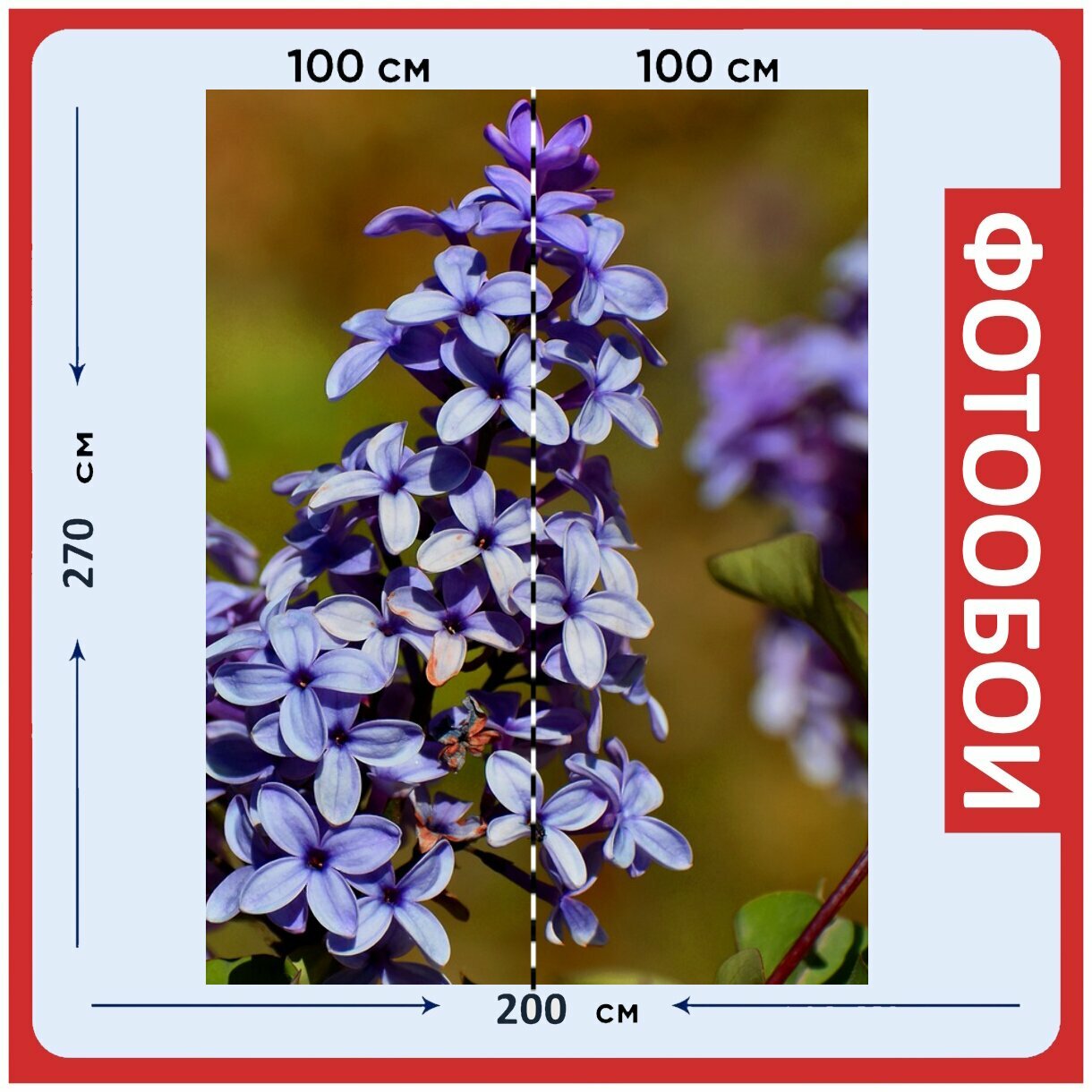 Фотообои "Сирень, цветы, растения" 200x270 см. флизелиновыена стену