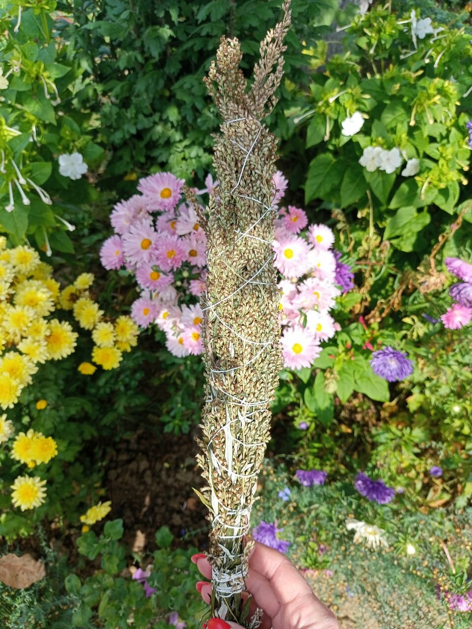 Полынные скрутки из чернобыльника. Набор из 2 штук