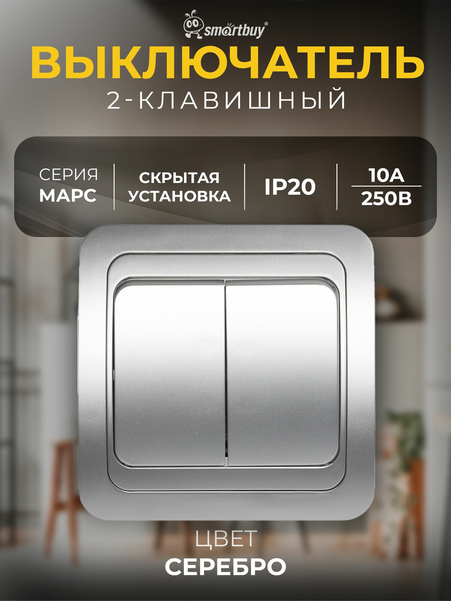 Выключатель Smartbuy 2-клавишный 10А серебро "Марс" (SBE-02s-10-SW2-0-c)