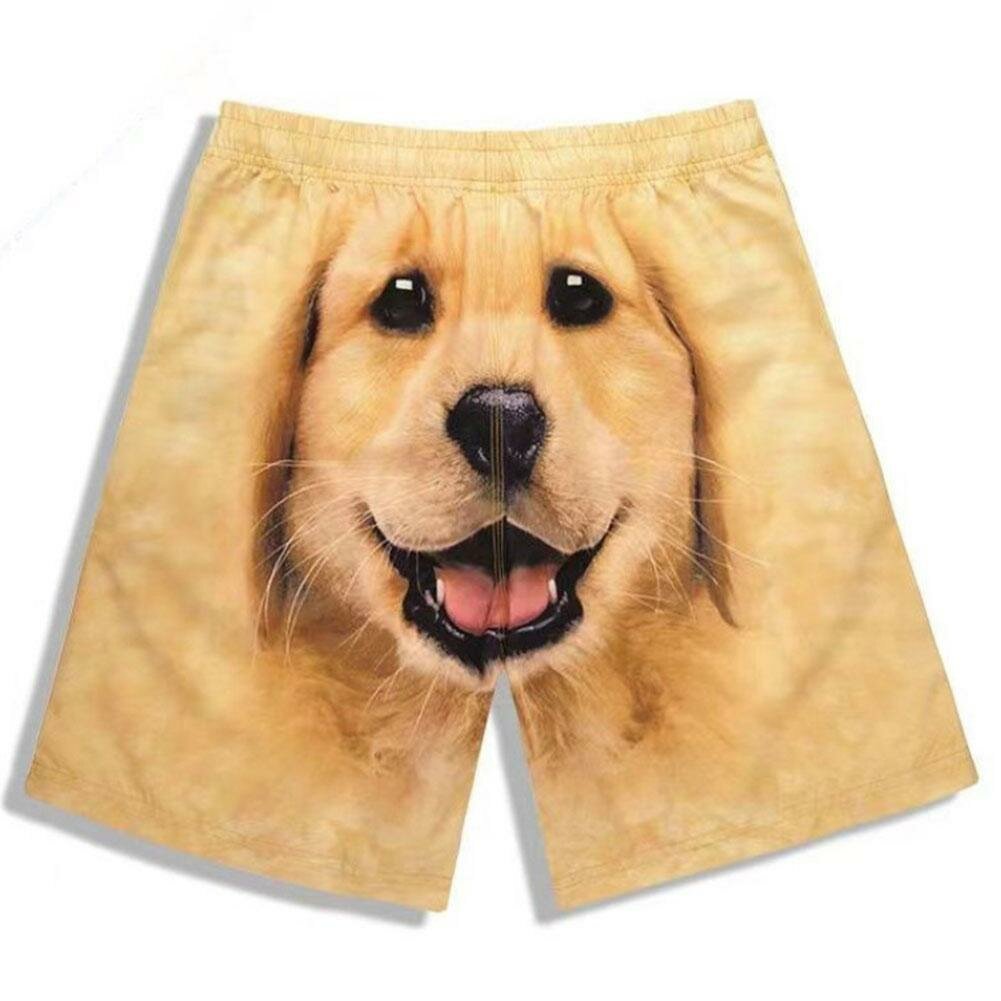 Шорты спортивные