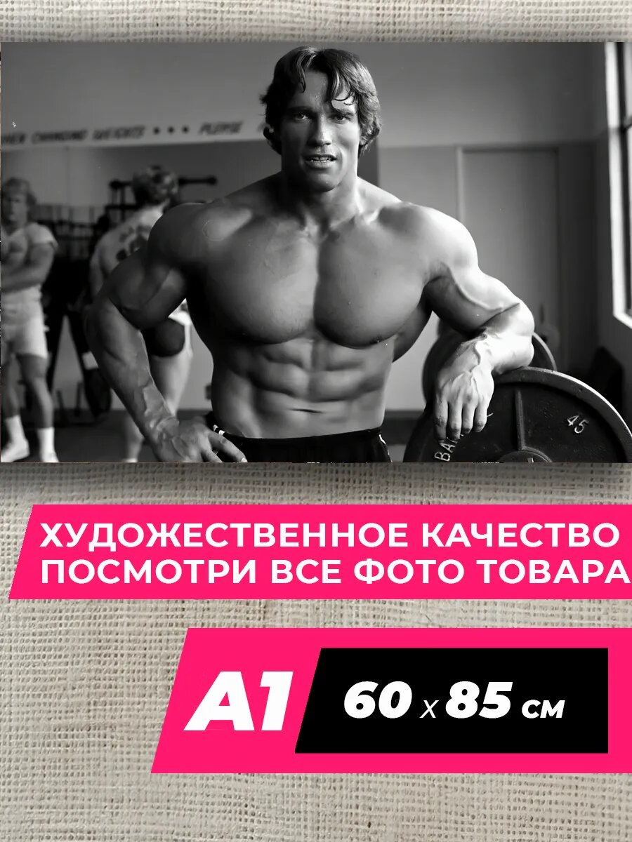 Постер Шварценеггер Арнольд на стену 22 A1, матовая фотобумага премиум качества