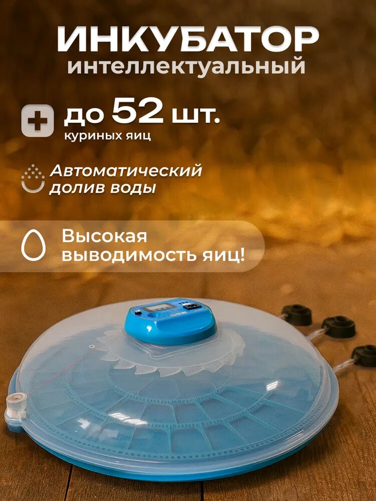 Инкубатор для яиц автоматический GREEN FARMER ГКР-52 с терморегулятором, овоскопом, автоповоротом, для куриных, перепелиных, утиных, гусиных яиц