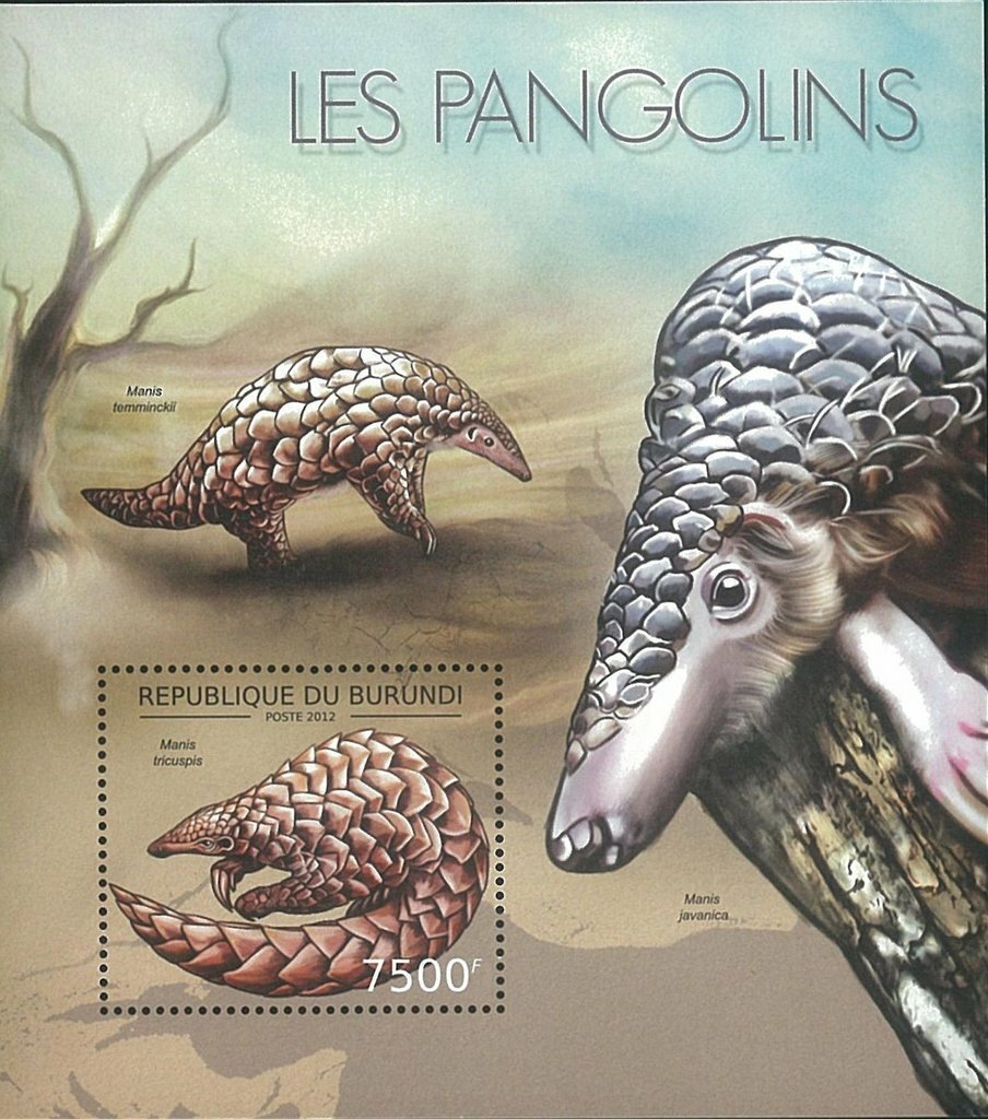 Почтовые марки Бурунди 2012г. "Фауна - Панголины" Фауна MNH