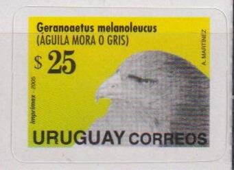 Почтовые марки Уругвай 2005г. "Птица - Агуйа" Птицы MNH