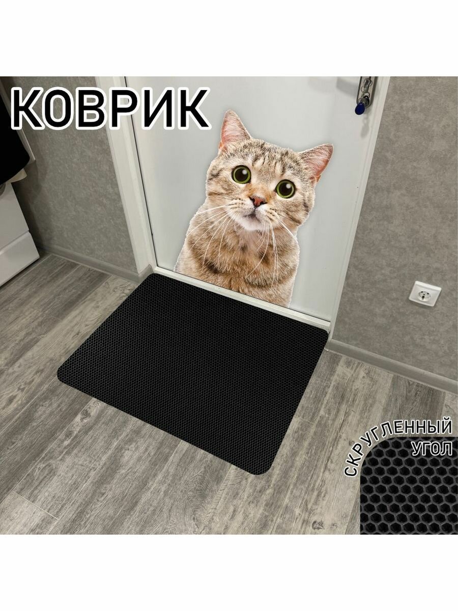 Коврик придверный в прихожую эва eva 80х40