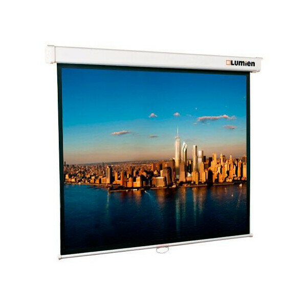 Рулонный матовый белый экран Lumien Master Picture LMP-100132
