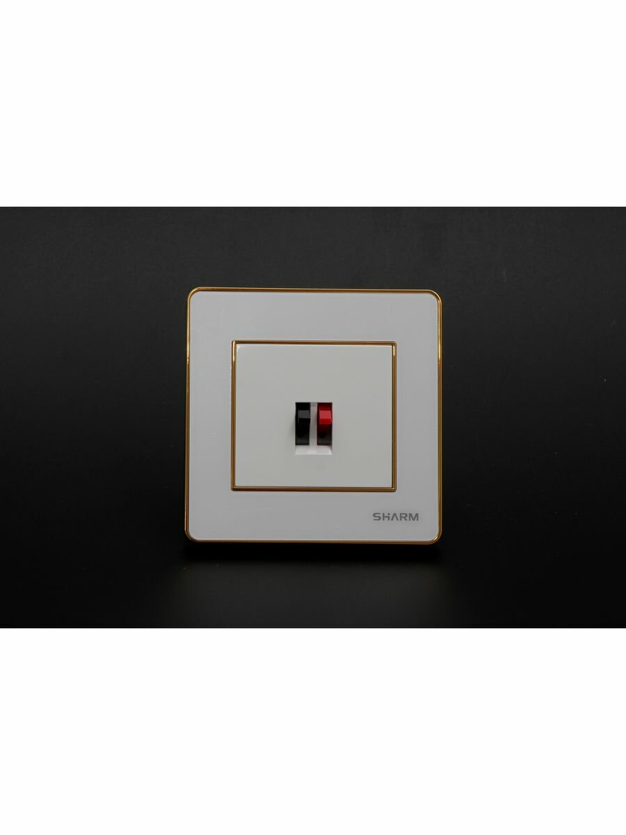 Аудиоразъем-1 белый+золото Acrylic 54
