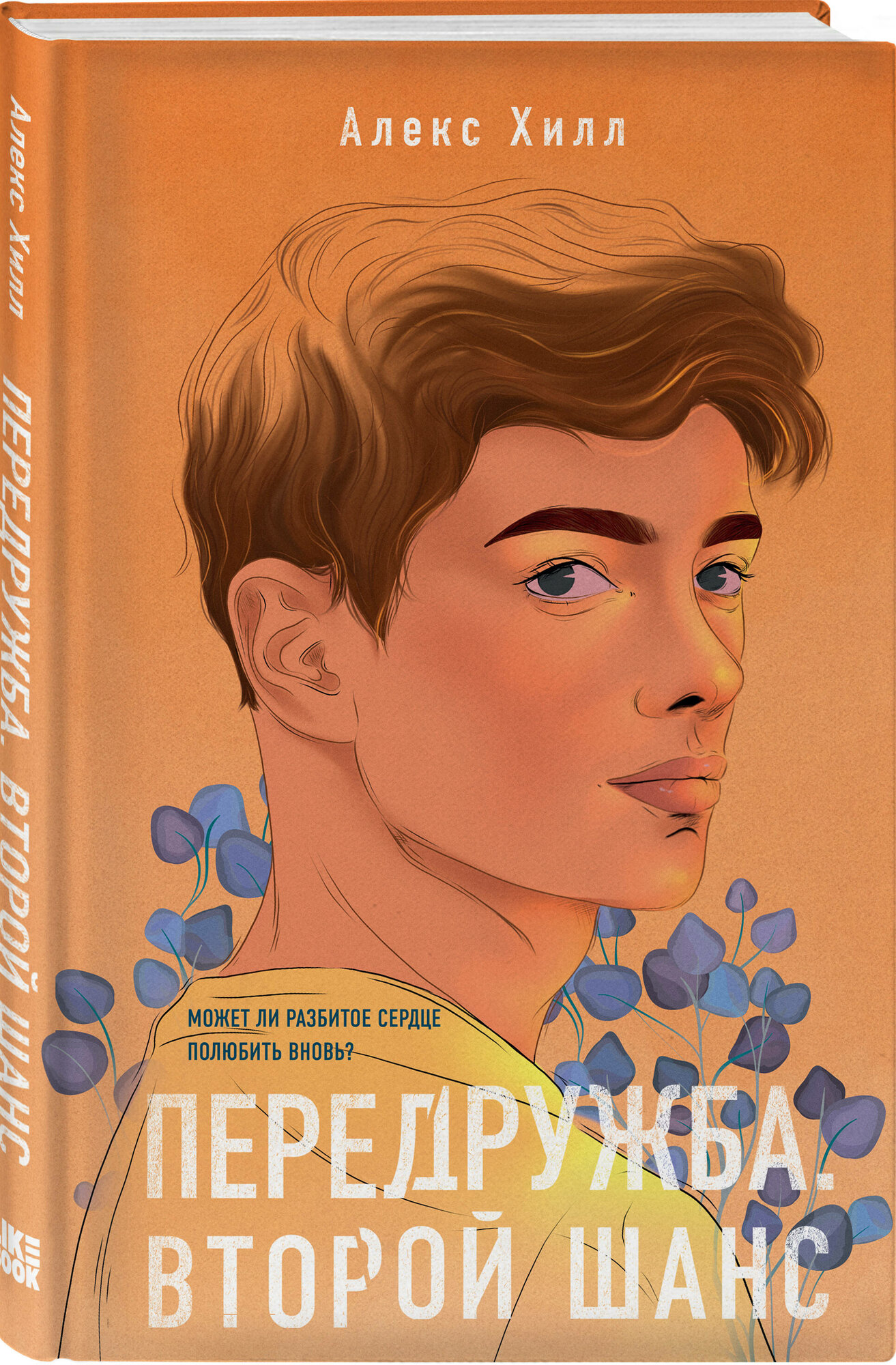 Хилл А. Передружба. Второй шанс