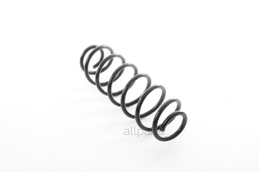 BSG AUTO PARTS BSG90-305-006 Пружина задней подвески