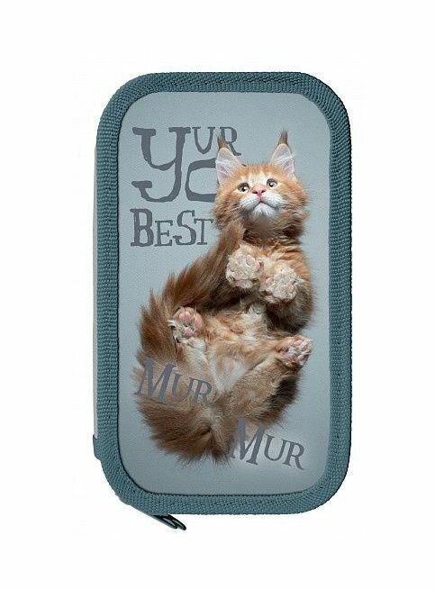 Schoolformat Пенал Лапы Кота, 2 отделения, картоновый, серый, 1 шт.