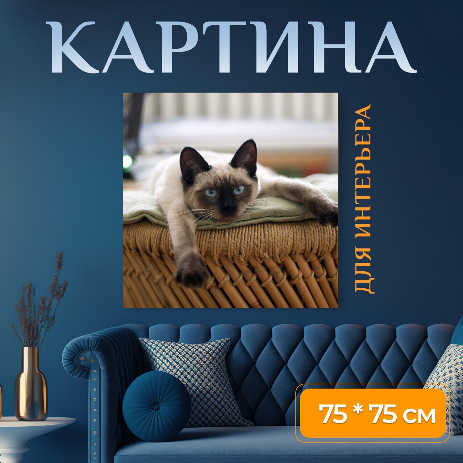 Картина на холсте "Кот, кошка, тайская кошка" на подрамнике 75х75 см. для интерьера