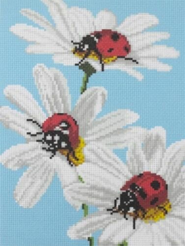 Ц14 Набор вышивки Божьи коровки 20х25