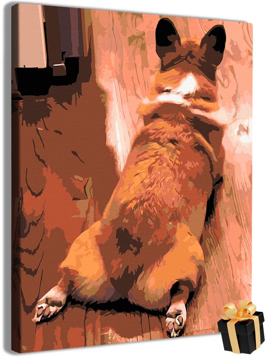 Картины по номерам Корги