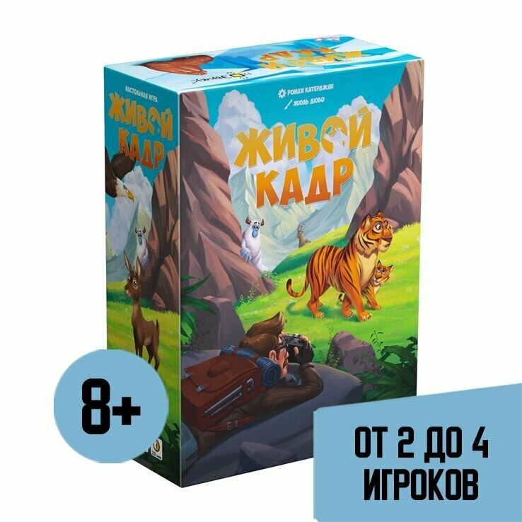 Настольная игра Живой кадр