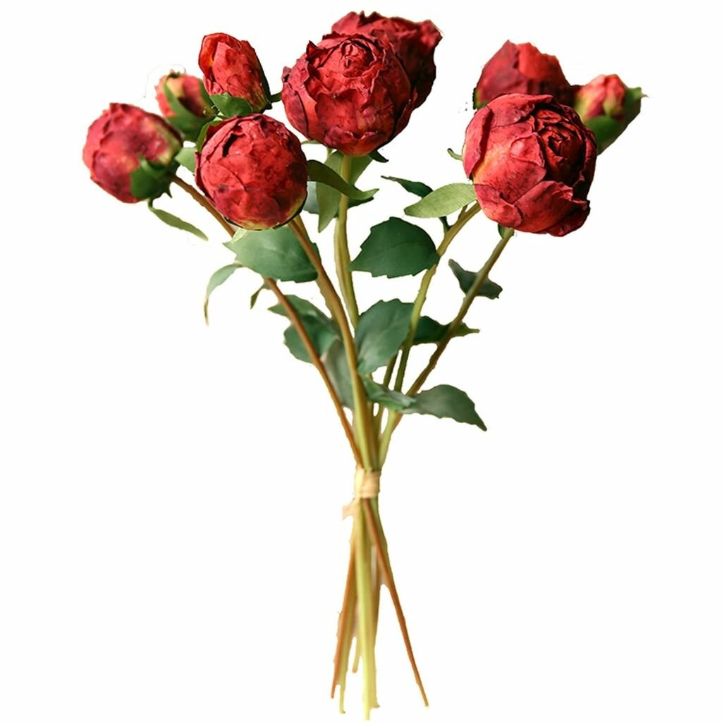 Справочник по осенним краскам: бутоны пионов в винтажном стиле, искусственные цветы с обожжённым краем