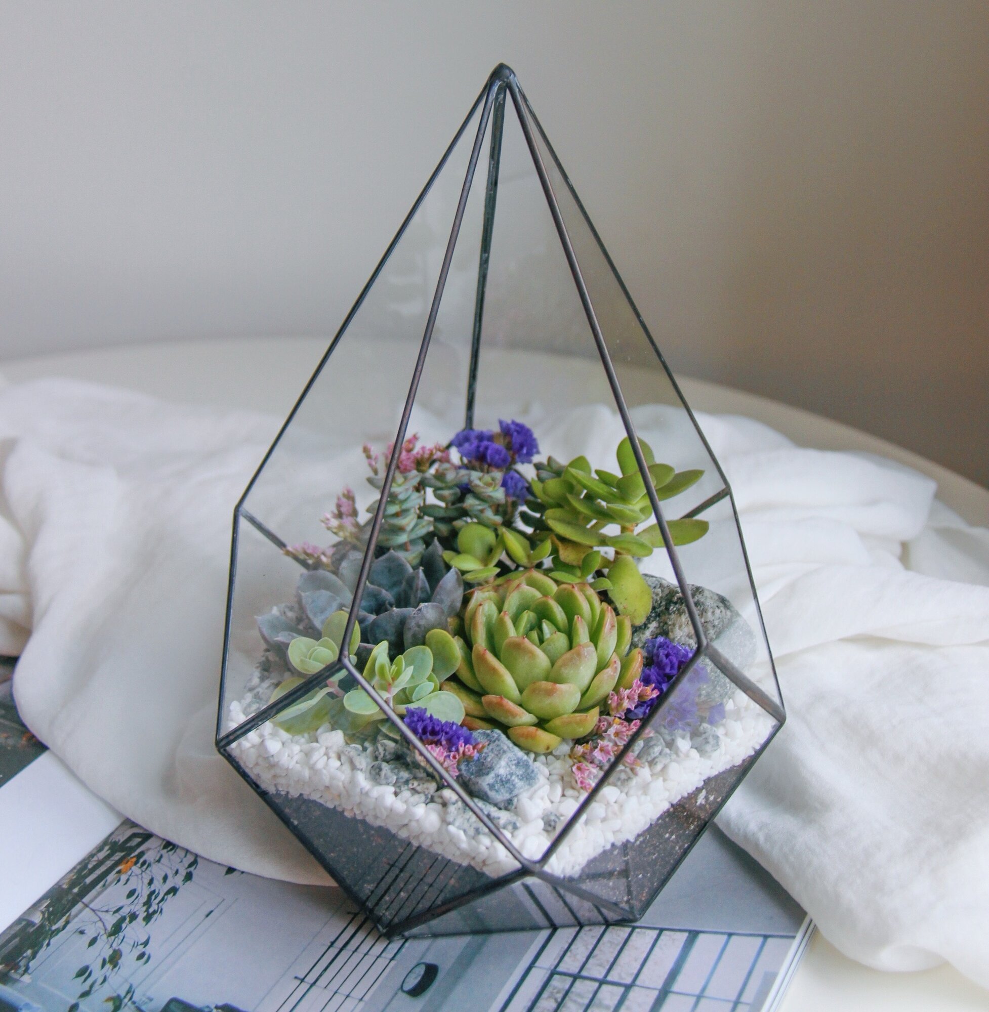 Флорариум со светолюбивыми суккулентами "Алмаз" от SEVERINSIDE