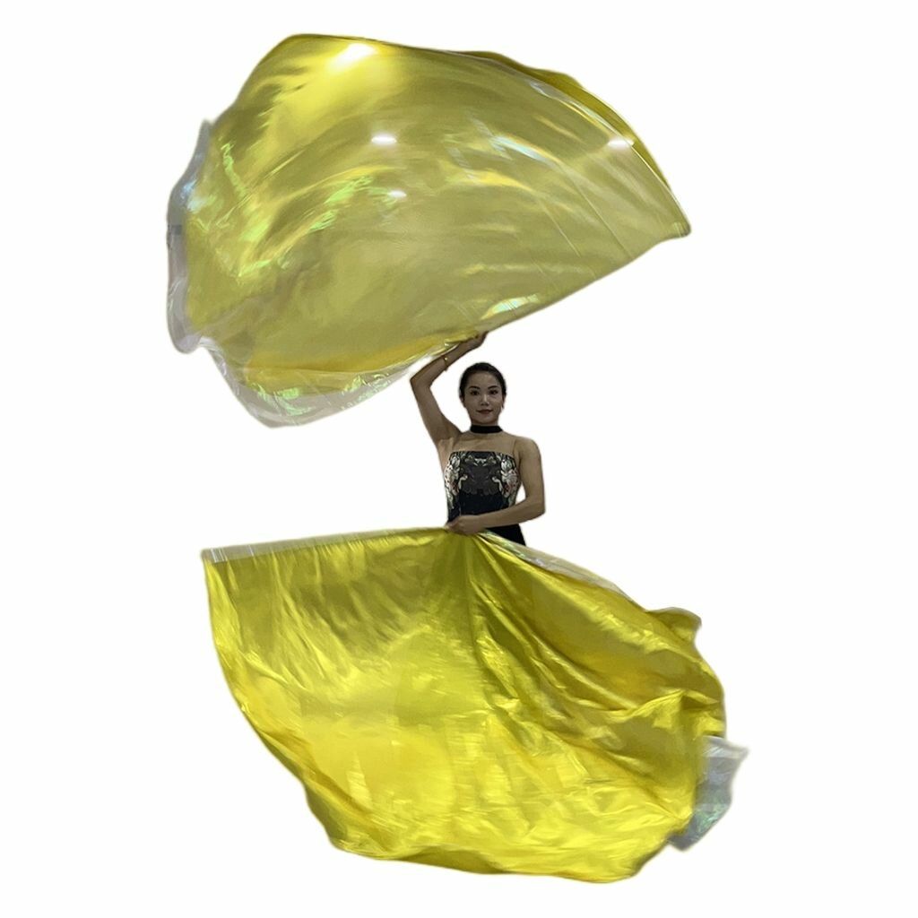 Флаги поклонения танцами 2 шли