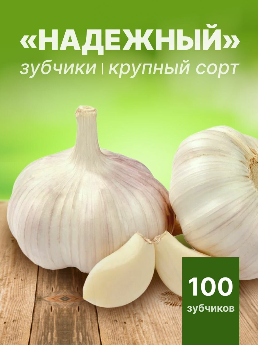 Зубчики чеснока на посадку "Надежный" 100шт