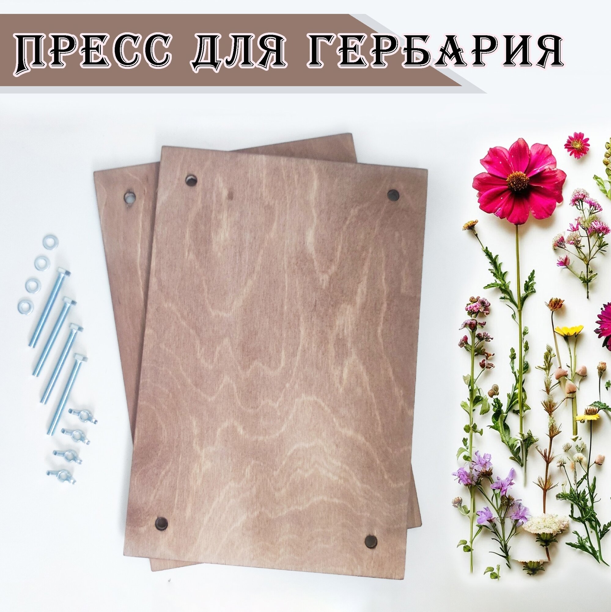 Пресс для гербария. Пресс для сушки растений