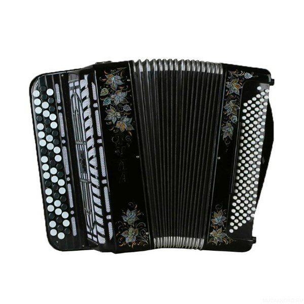 Тульская Гармонь BN-53-BK Баян ученический двухголосный "Тула" 55х120/50-II