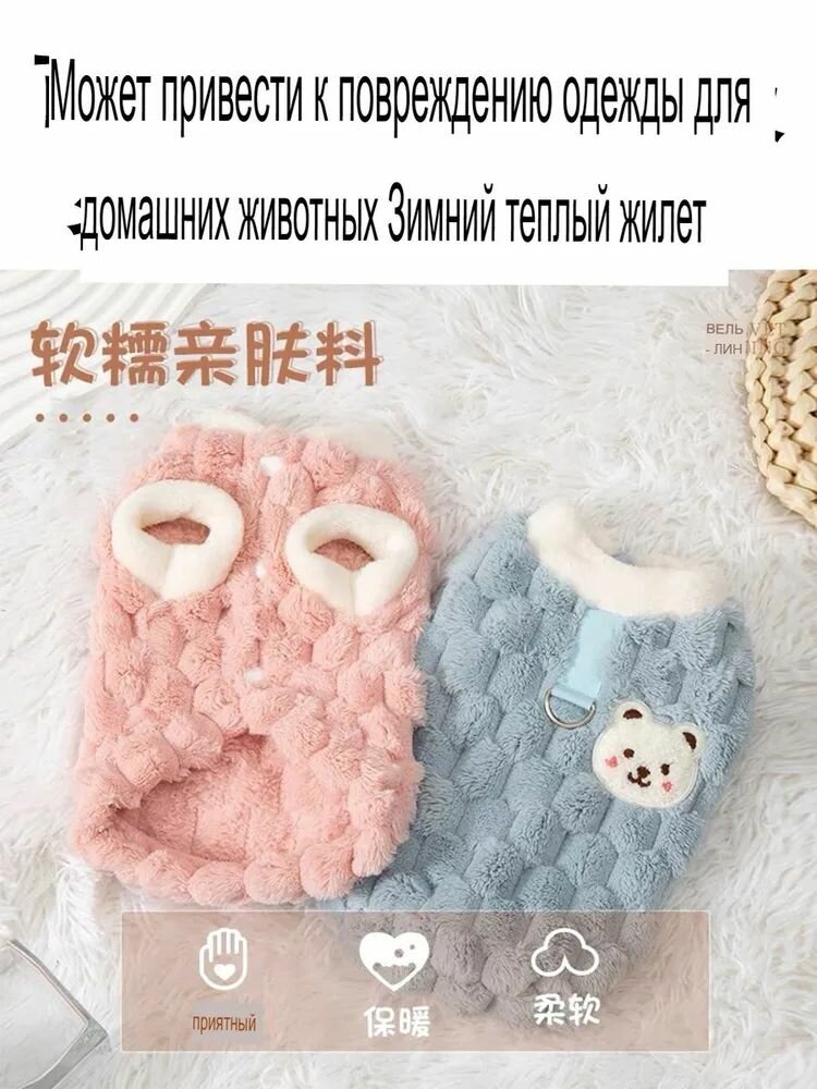 Можно перевозить теплую одежду для домашних животных, зоотовары, принадлежности для кошек, новые осенние и зимние модели