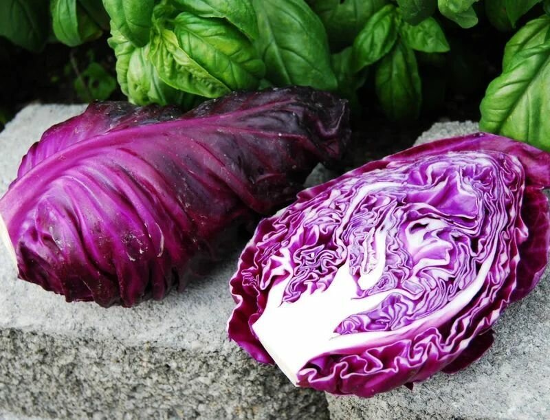 Коллекционные семена капусты к/к Красное сердце