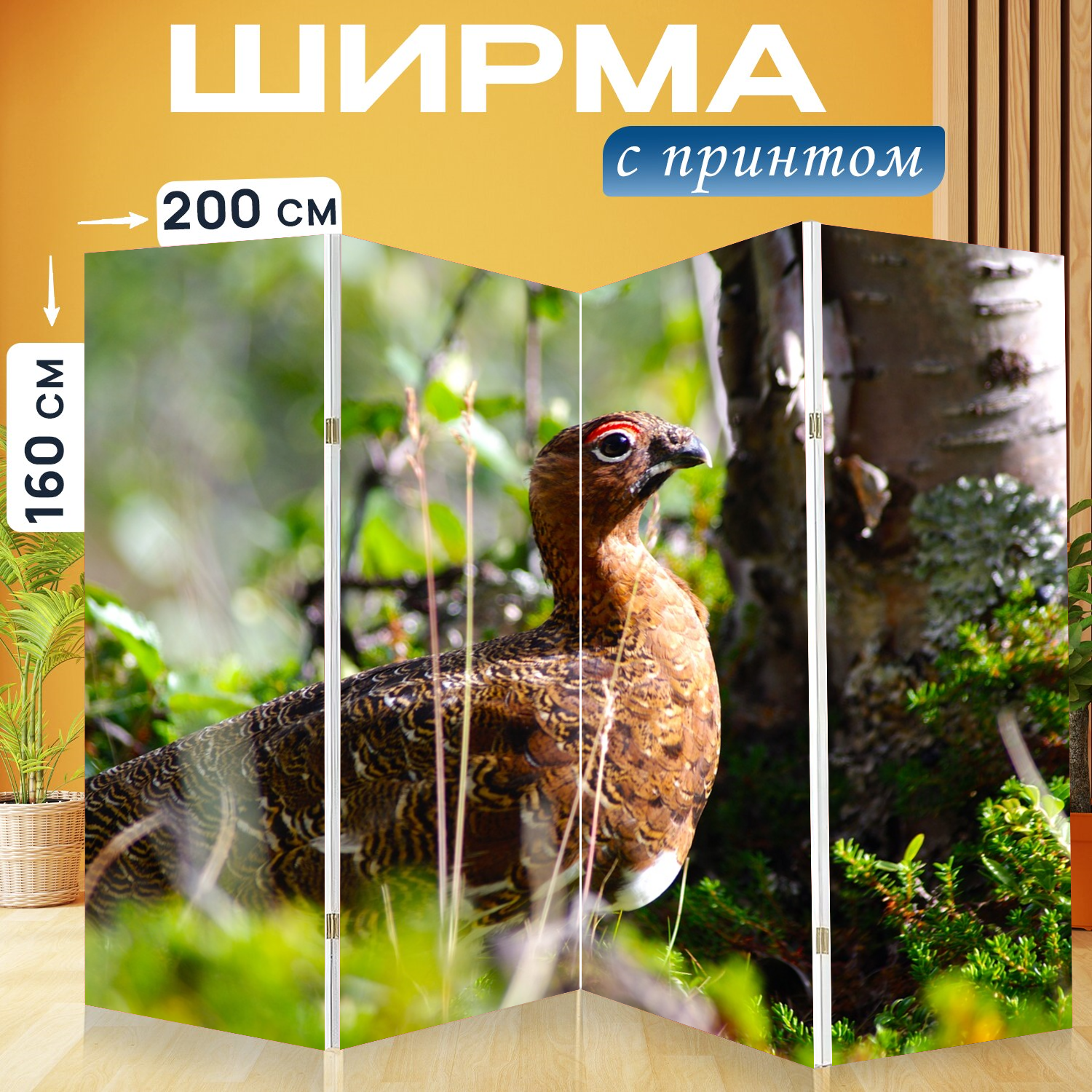 Ширма "Куропатка, летом, летние пружины" перегородка для зонирования комнаты с принтом 200x160 см. на холсте