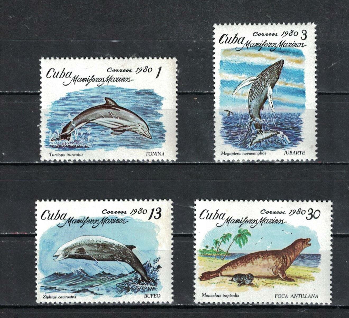 Почтовые марки Куба 1980г. "Морские млекопитающие" Млекопитающие, Морские животные MNH