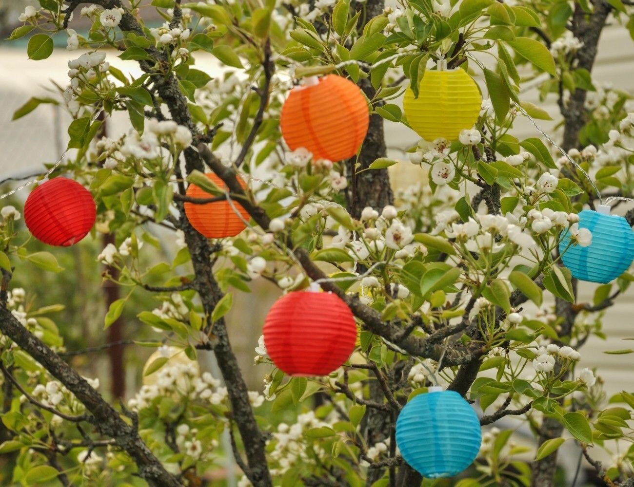 Садовая гирлянда Солар (Solar) чайна-лайт на солнечной батарее, холодные белые LED-огни, 10 плафонов (красные, зеленые, синие, оранжевые), 2.7+2 м, прозрачный провод, STAR trading 477-14