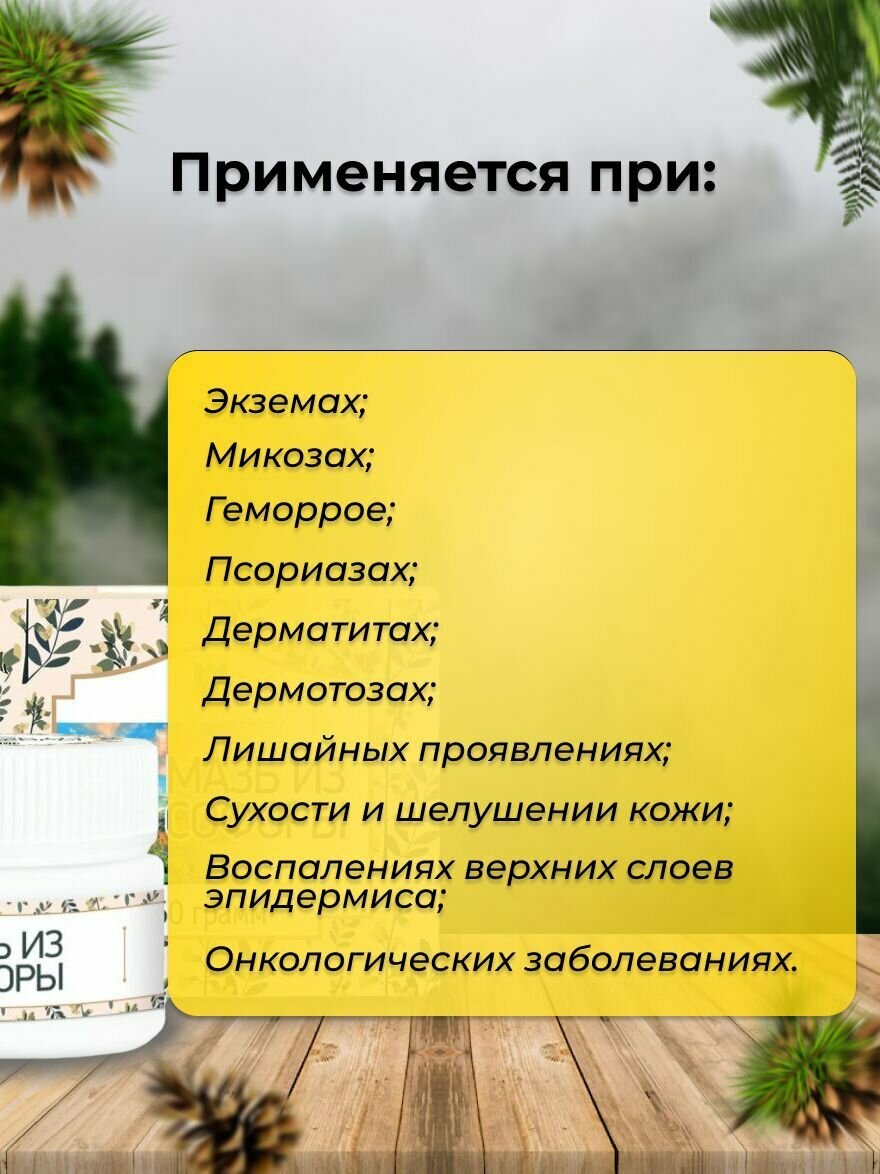 Мазь из софоры "Благодея-Алтай" 50 гр — фото 1