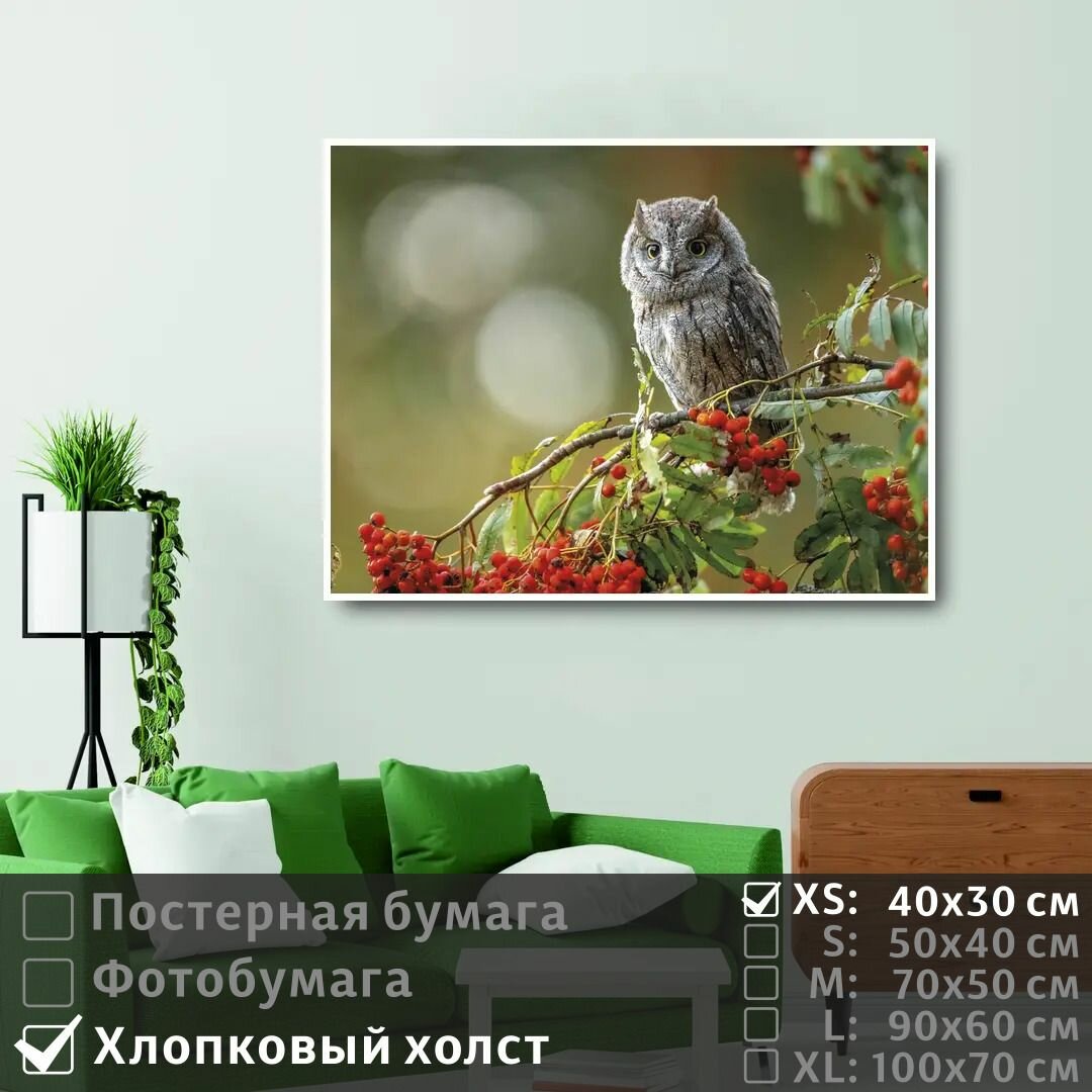 Постер на холсте Сова Сидит На Ветке Красной Рябины В Лесу 40х30 см ПолиЦентр