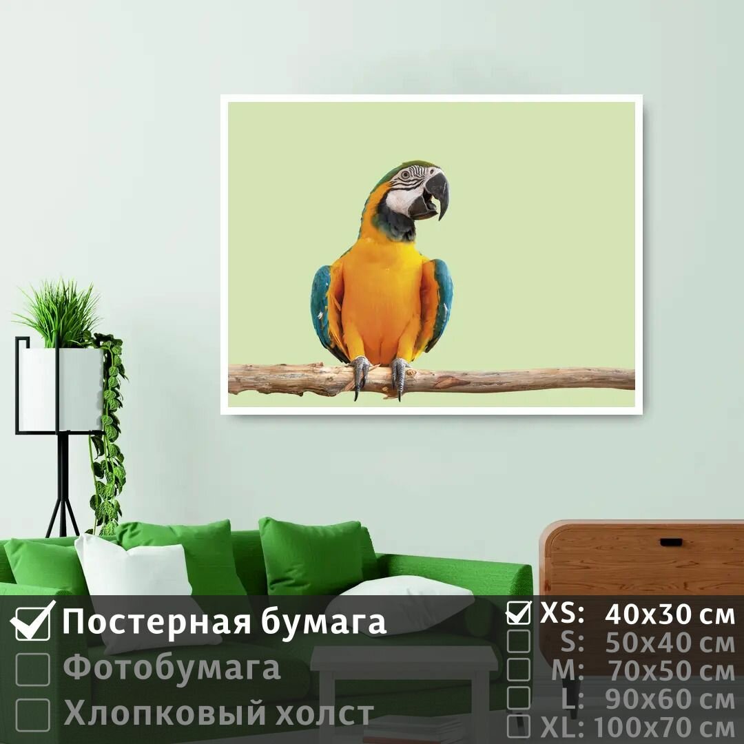 Постер на стену Яркий Попугай Ара На Ветке 40х30 см ПолиЦентр