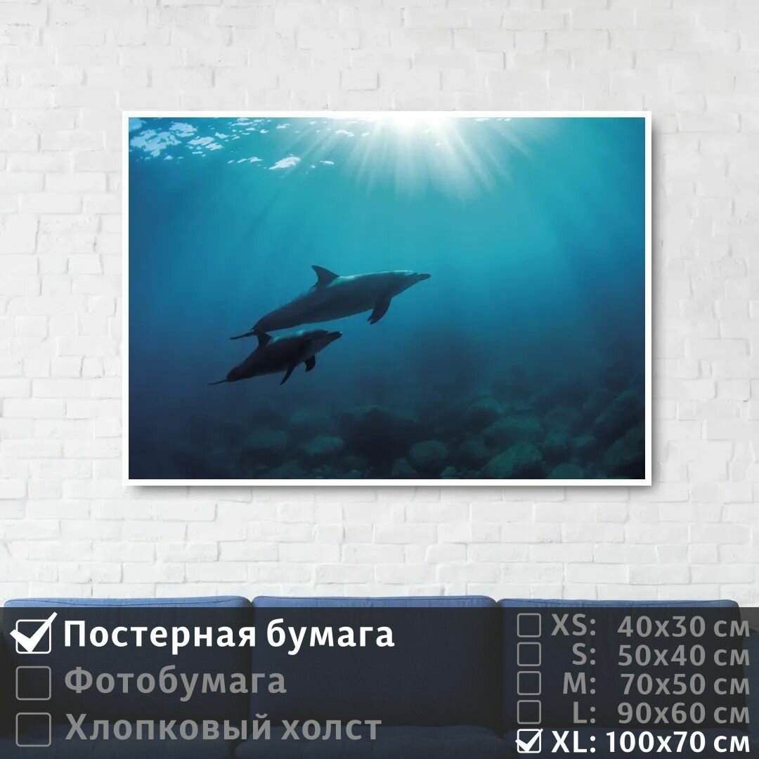 Постер на стену Два Дельфина Плавают В Глубине Океана 100х70 см ПолиЦентр