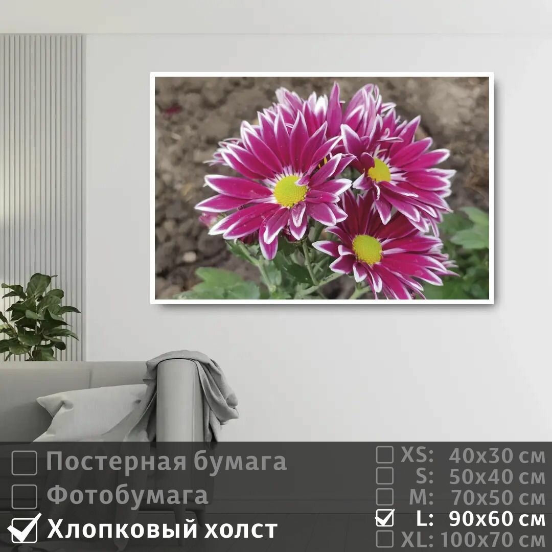 Постер на холсте Летние Розовые Хризантемы 90х60 см ПолиЦентр