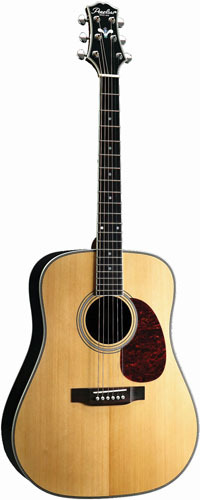 Acoustic guitar Peerless PD-65E - Dreadnought acoustic guitar with solid rosewood body, mahogany neck and rosewood fretboard. Built-in Fishman Prefix Plus-T pickup system.